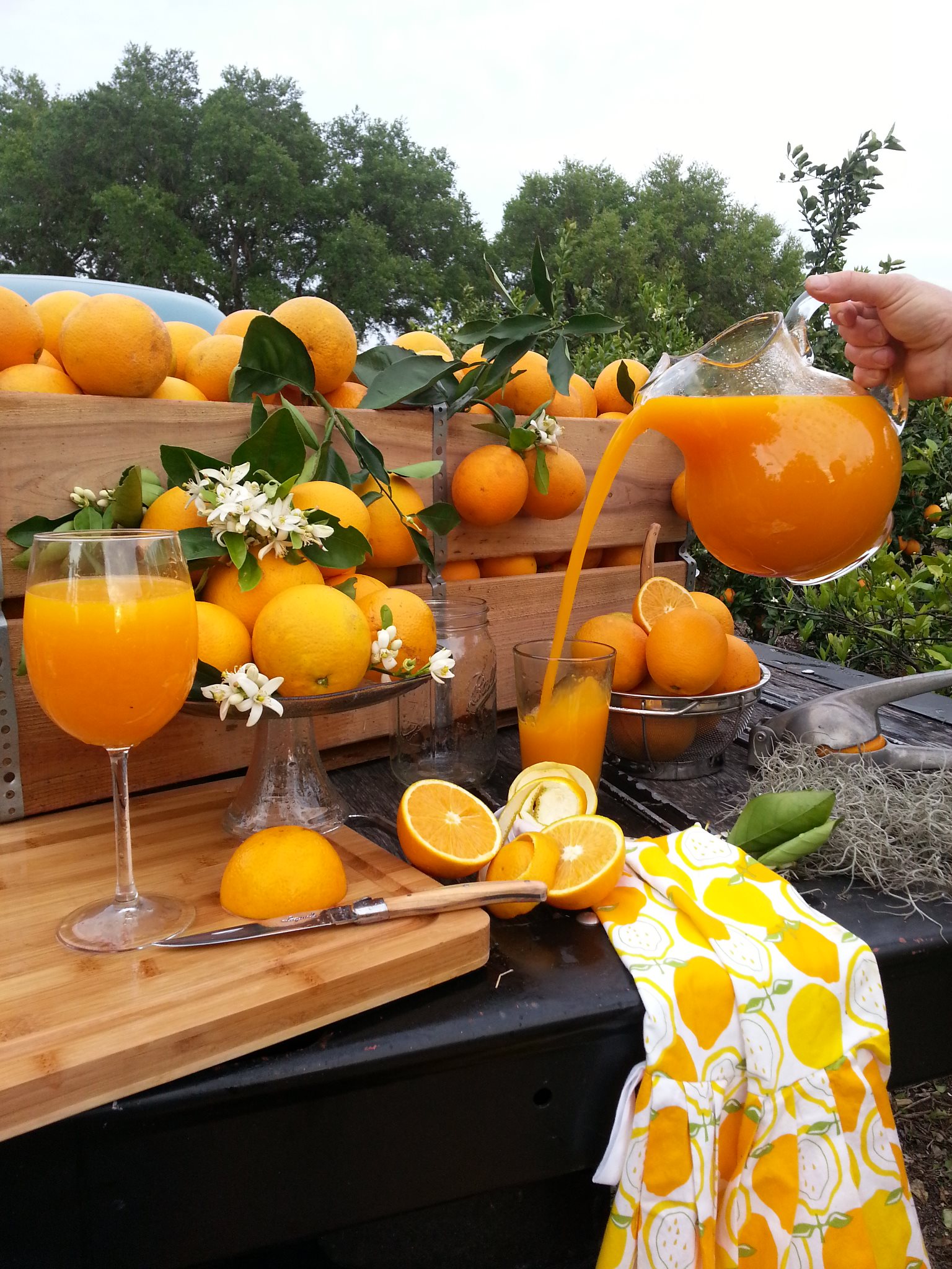 Central Florida's Best Pumpkin Patches & Fall Festivals - Florida Living